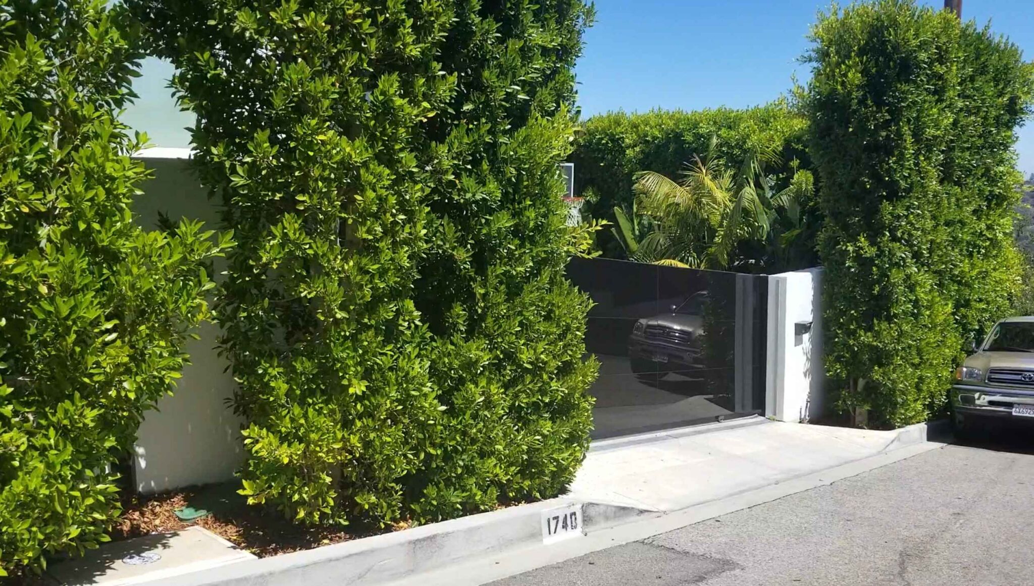 Black Mirror Gates - www.ironguys.com